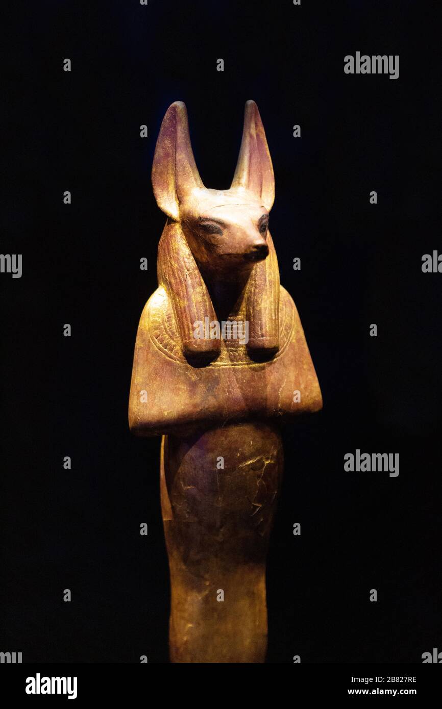 Duamutef; ancient egyptian God, with a jackal's head, one of the sons ...