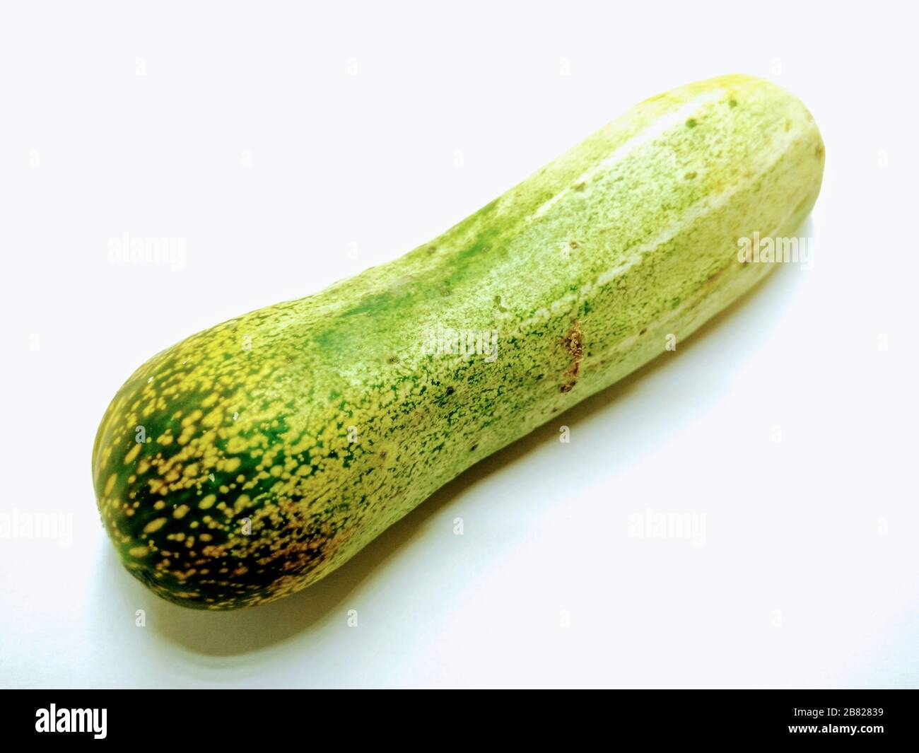 A picture of cucumber Stock Photo - Alamy