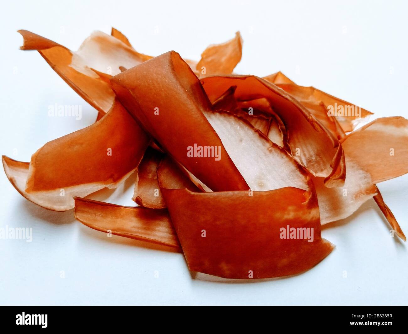 Rind skin hi-res stock photography and images - Alamy