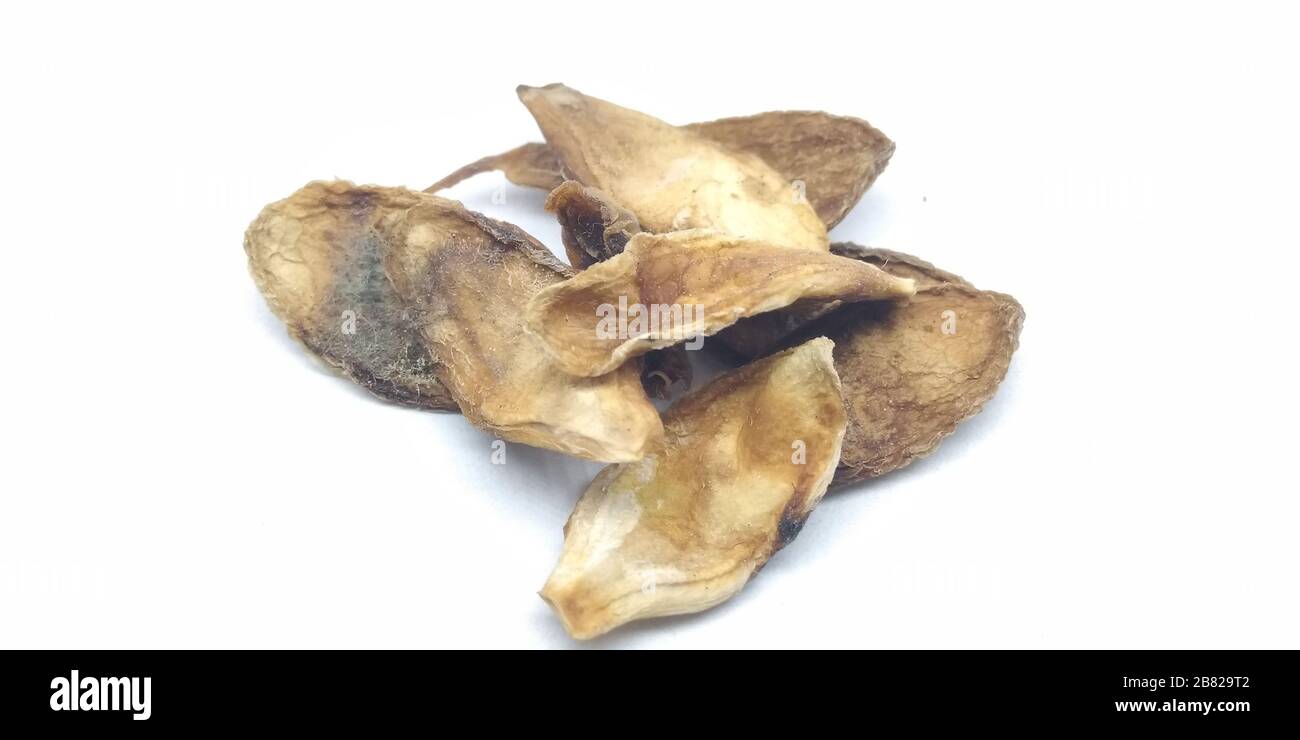 A picture of seeds Stock Photo - Alamy