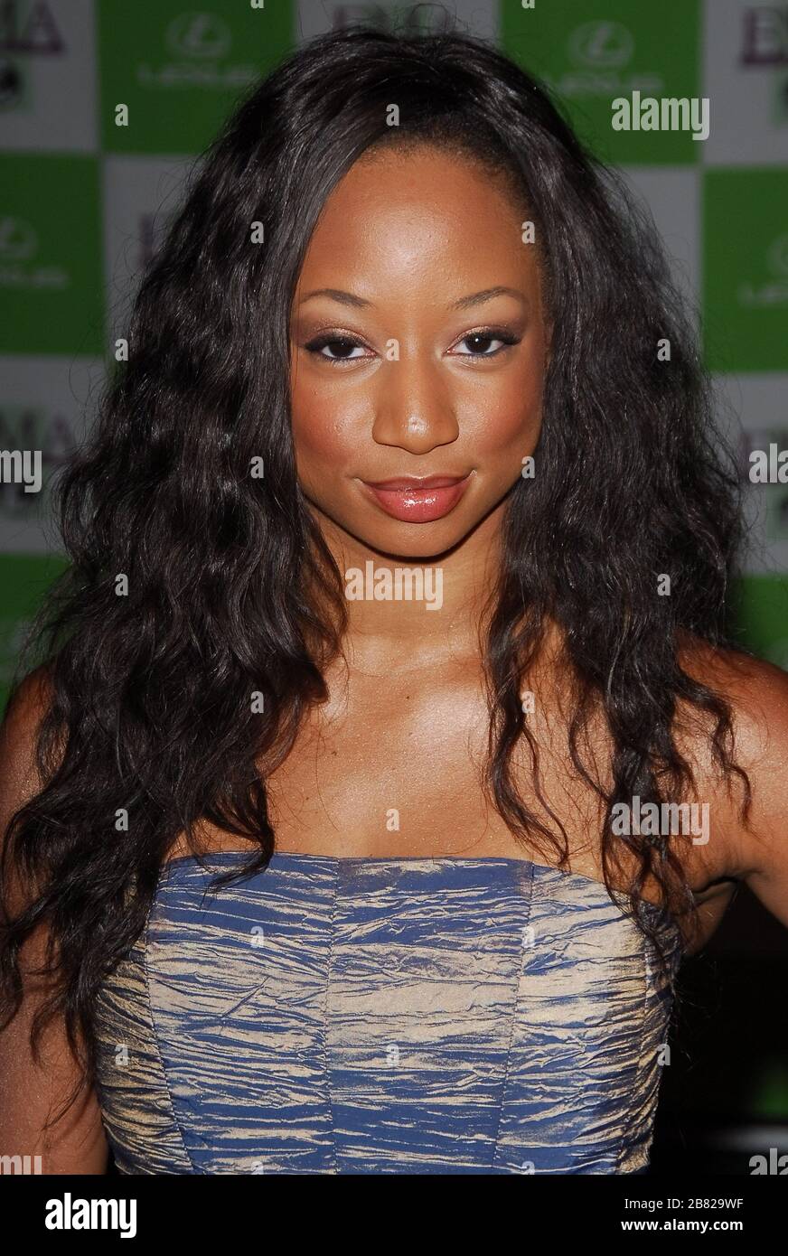 Monique Coleman at the 16th Annual Environmental Media Awards held at ...