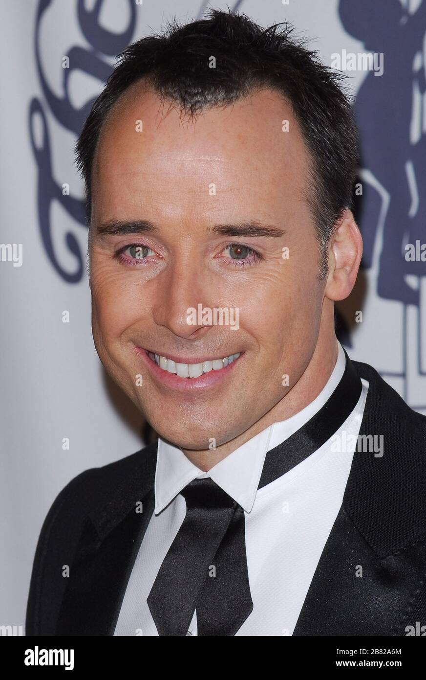 David Furnish at The 17th Annual Carousel Of Hope Ball held at The ...