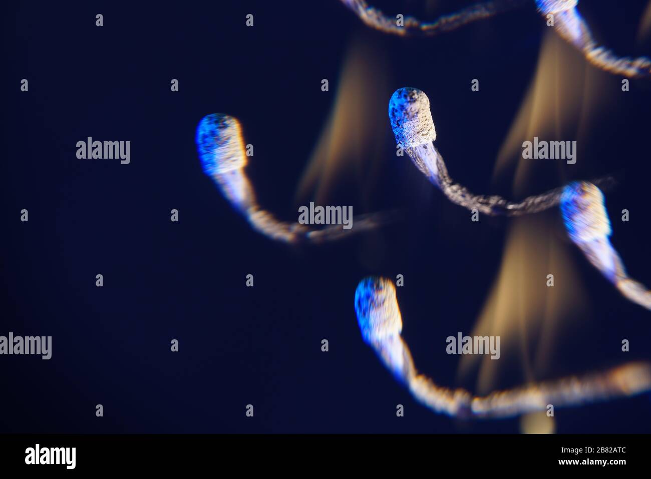 Lit matches and blown out in the studio photographed with colorful ...