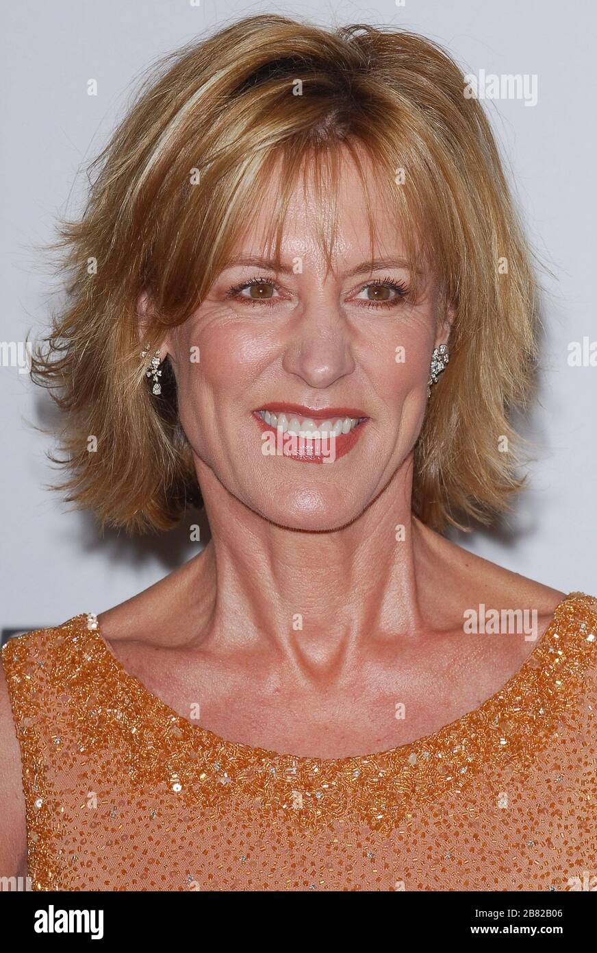 Christine Lahti at The 17th Annual Carousel Of Hope Ball held at The ...