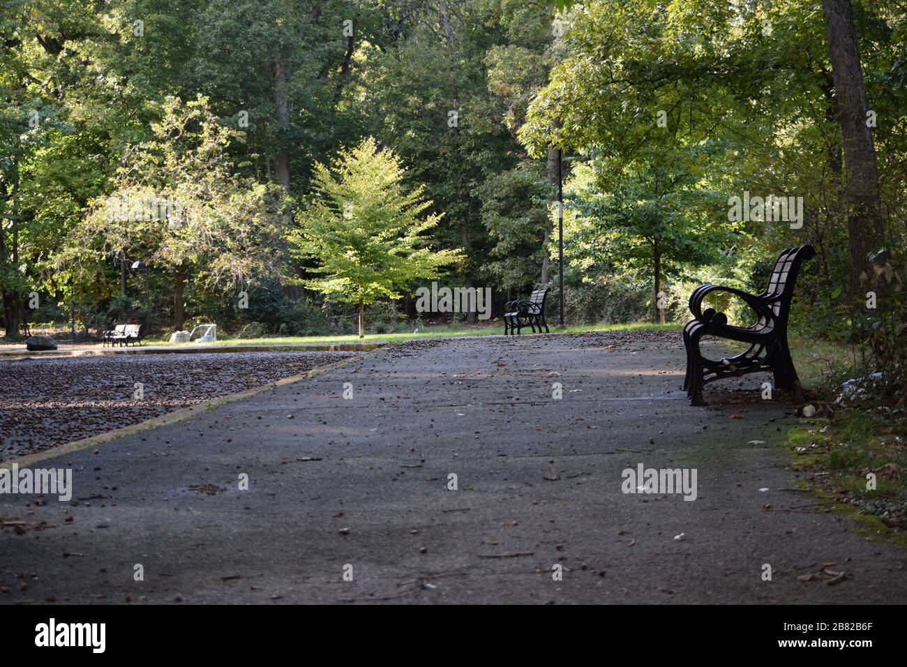 Tranquil park scene bench hi-res stock photography and images - Alamy