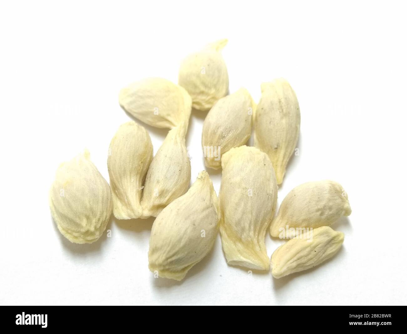 Piece orange leaf Cut Out Stock Images & Pictures - Alamy