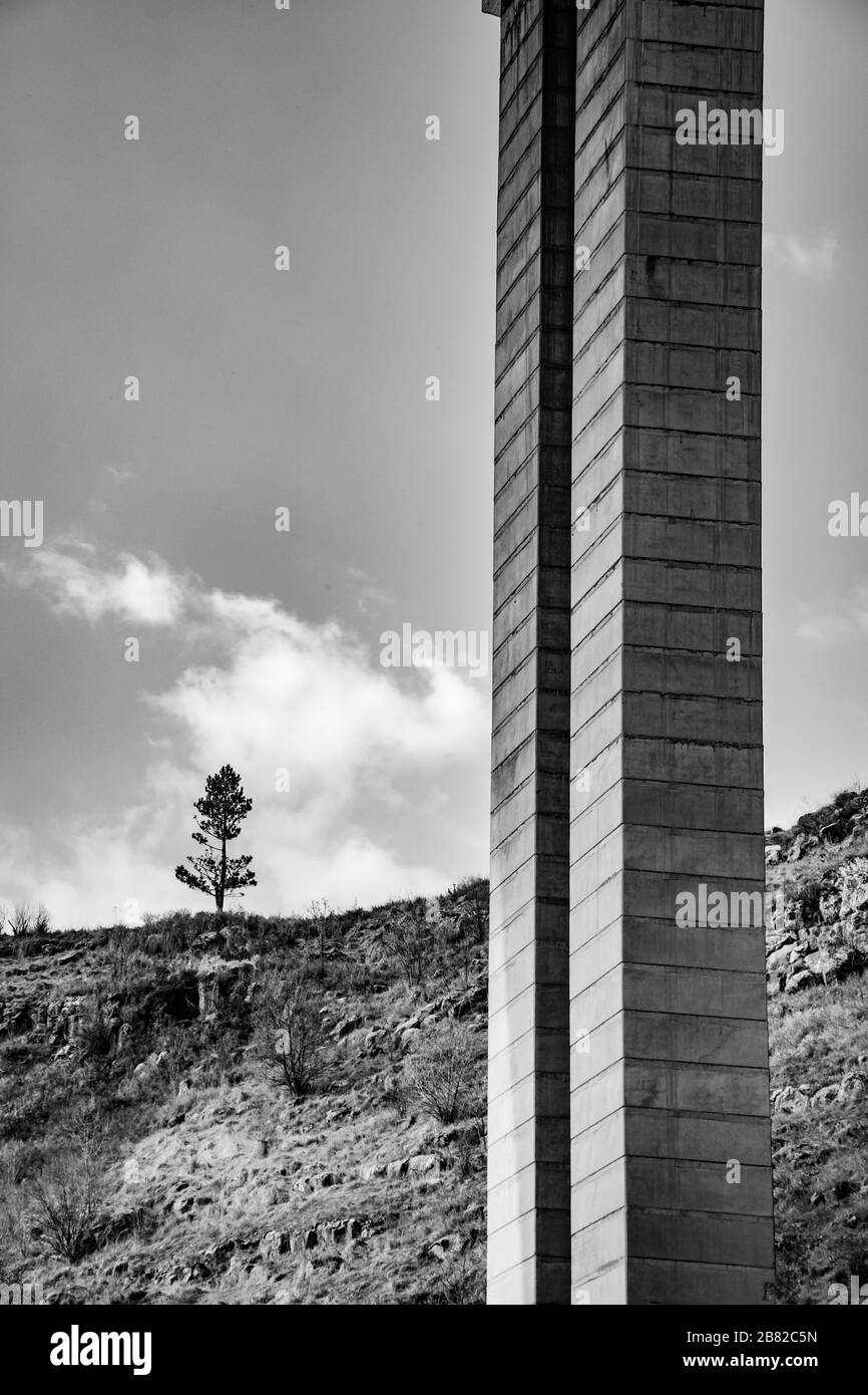 Long life plants Black and White Stock Photos & Images - Alamy