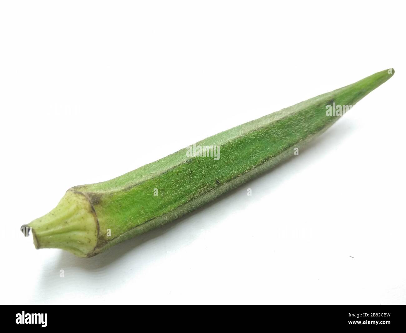 Ladyfinger hi-res stock photography and images - Alamy