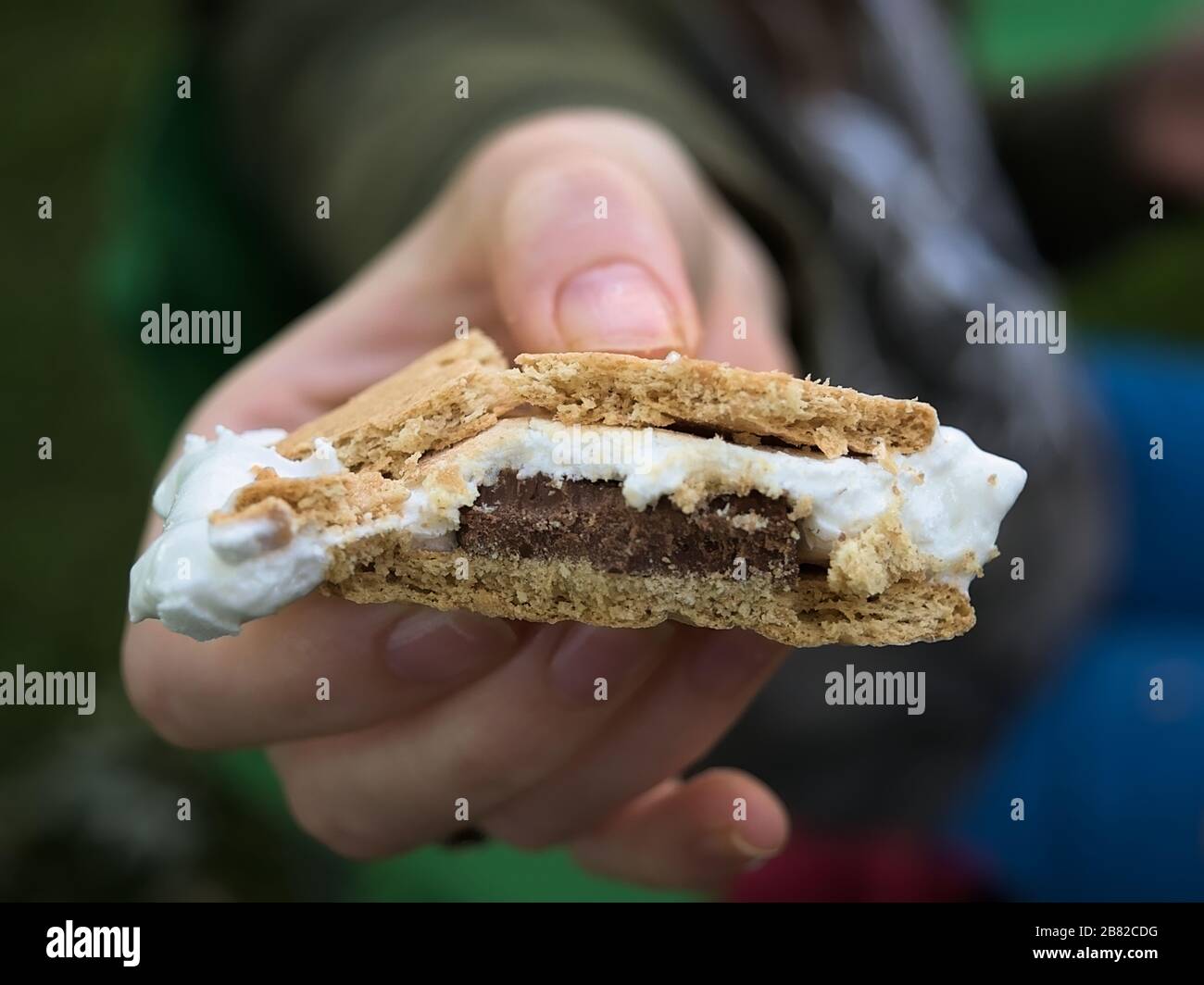 A woman/man hands a perfectly cooked S'more to the viewer. Smore in ...