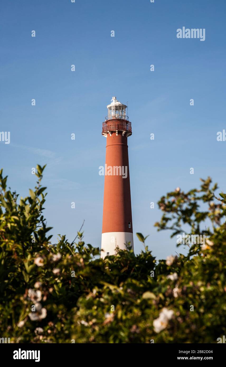 Barnegat Lighthouse New Jersey High Resolution Stock Photography and ...
