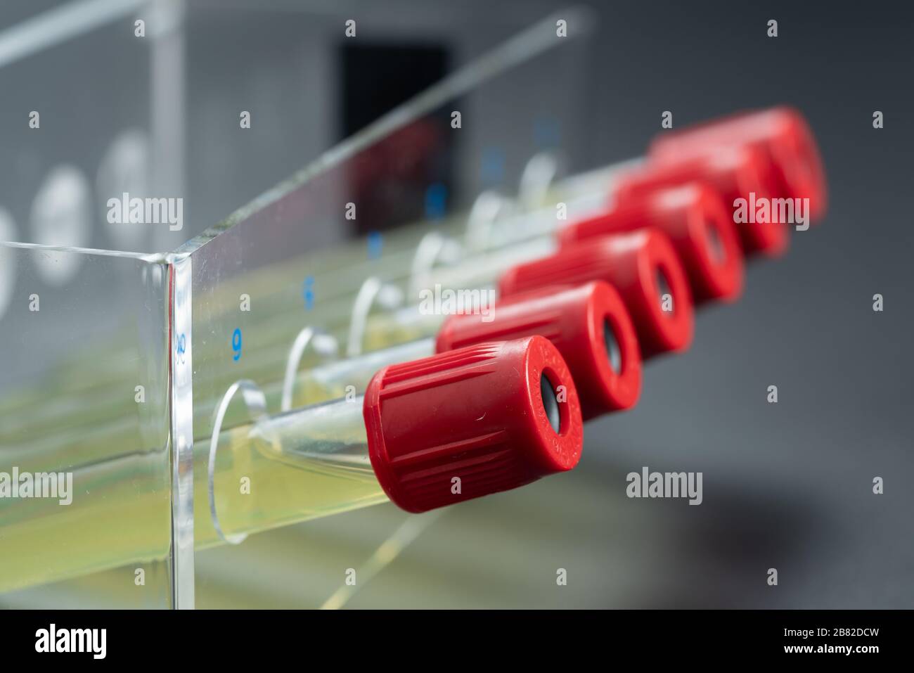 Test tubes with chemical samples in science laboratory Stock Photo - Alamy