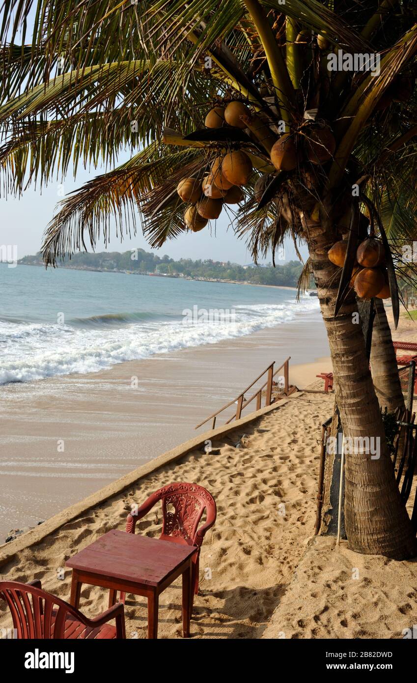 Sri Lanka, Tangalle beach Stock Photo - Alamy