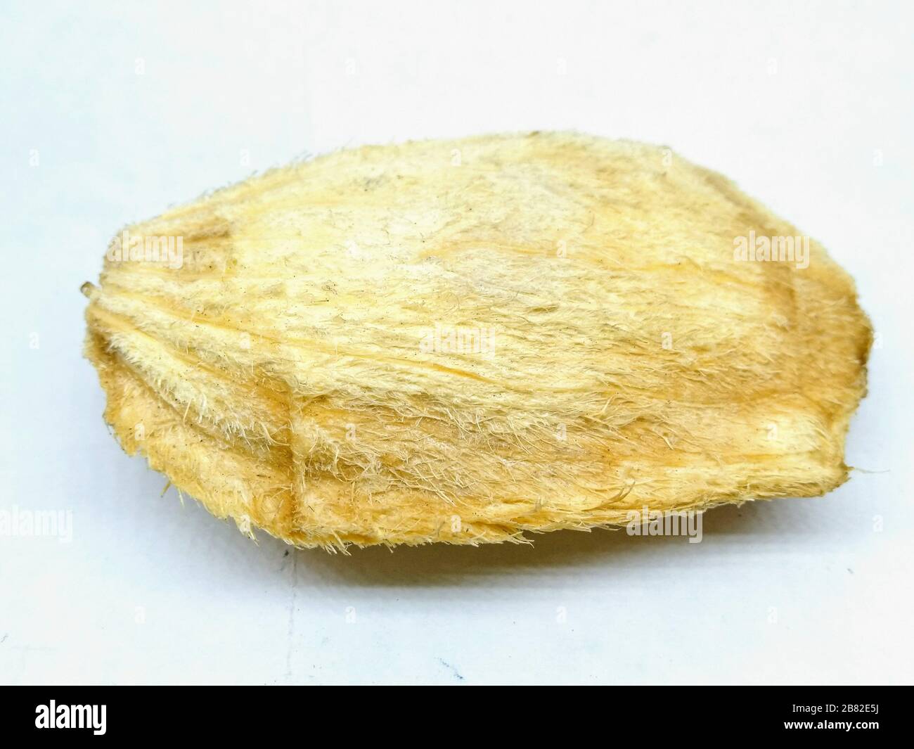 A picture of mango seed's Stock Photo - Alamy