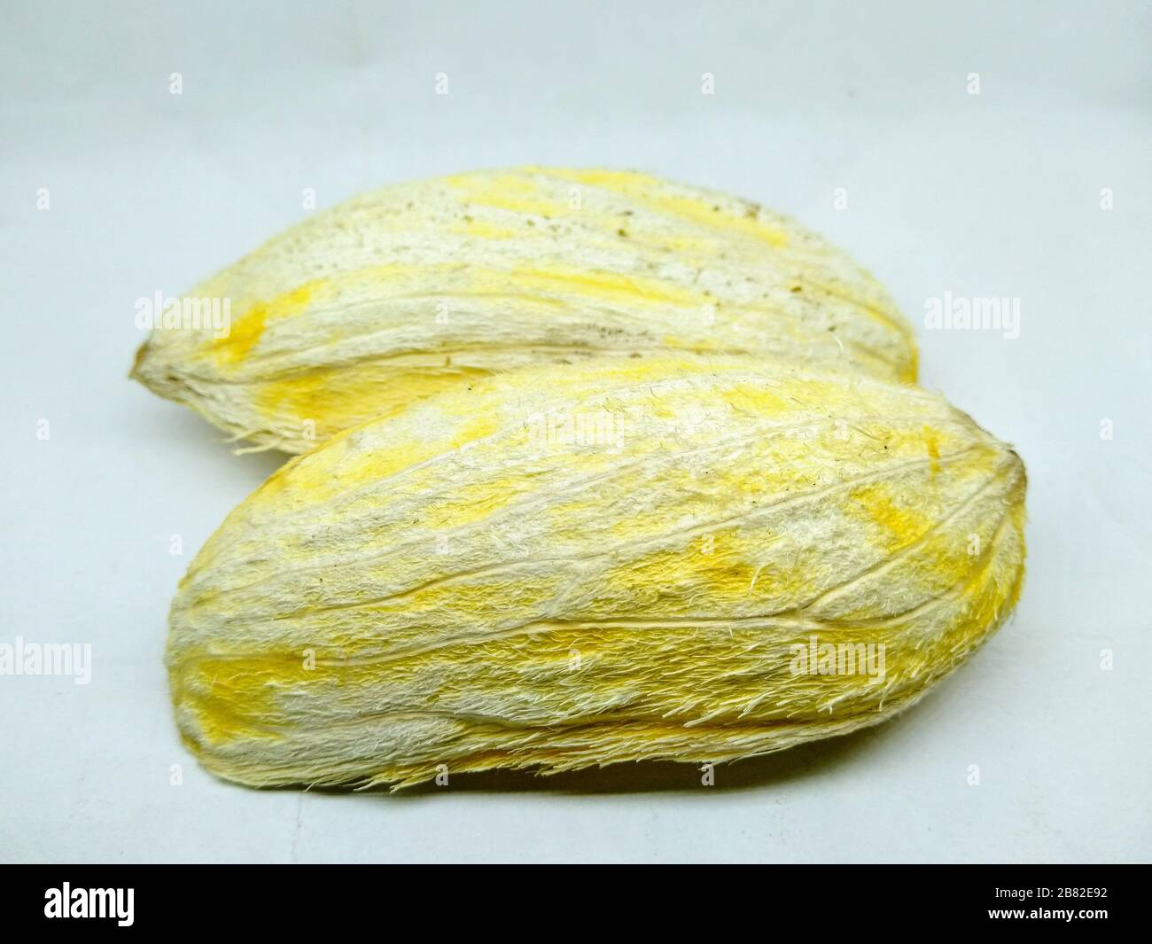 A picture of mango seed's Stock Photo - Alamy