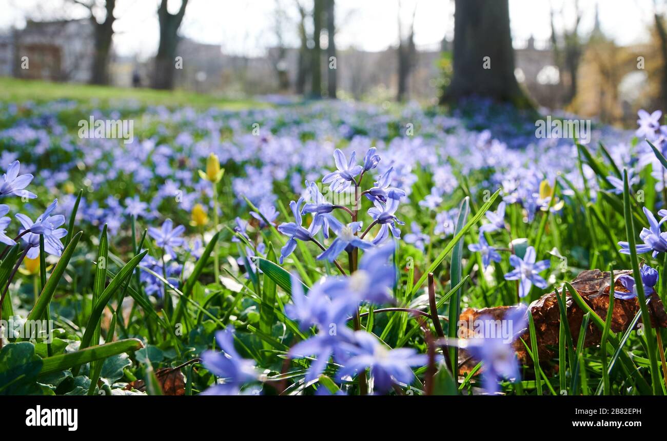 Berlin, Germany. 19th Mar, 2020. In the Volkspark Friedrichshain the ...