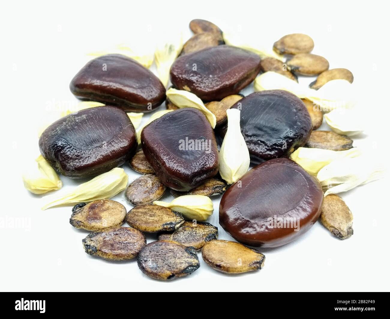 A picture of seeds Stock Photo - Alamy