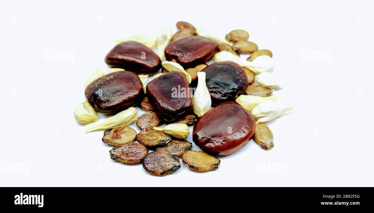 A picture of seeds Stock Photo - Alamy
