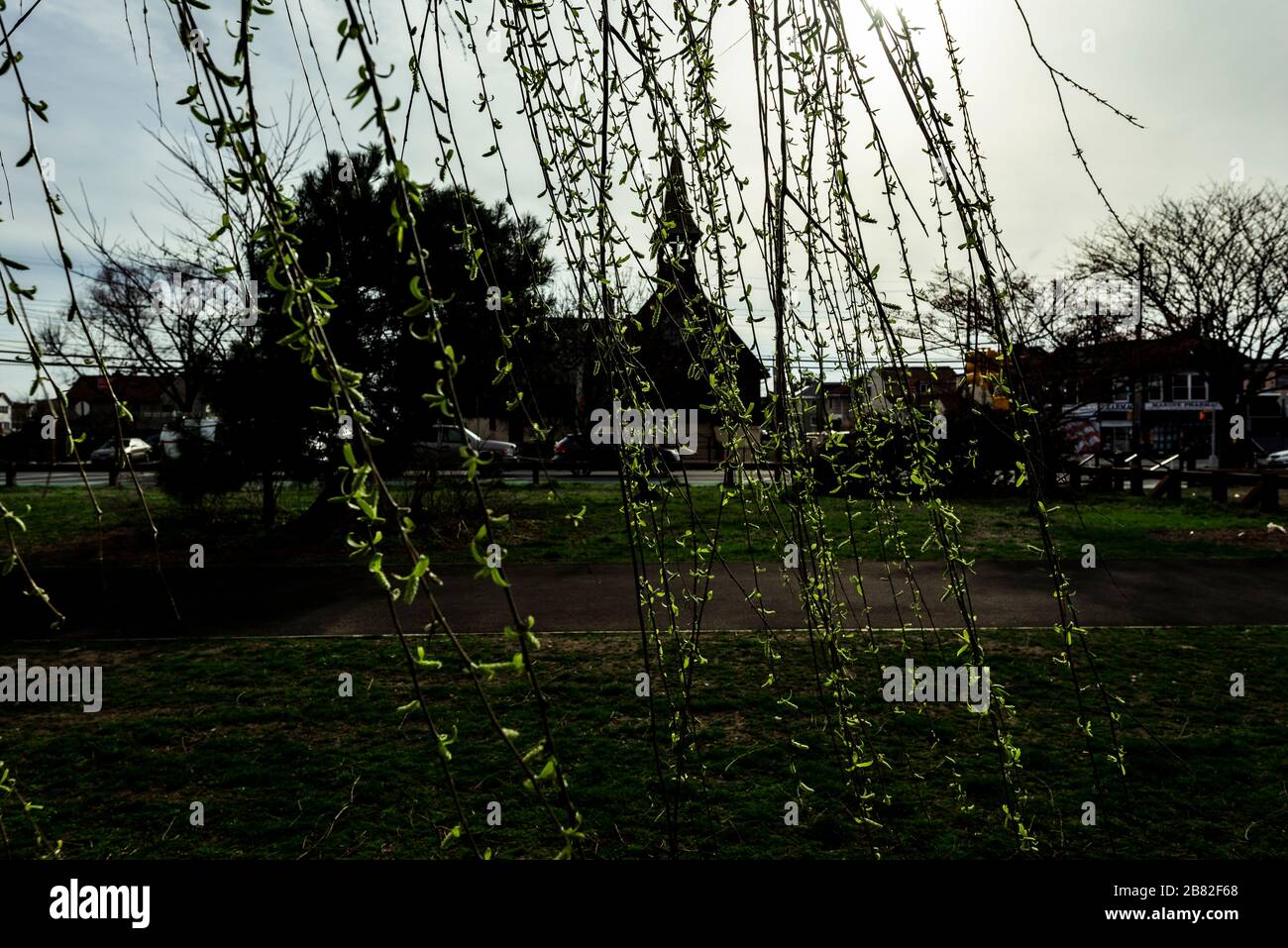 Early signs of spring in New York City Stock Photo - Alamy