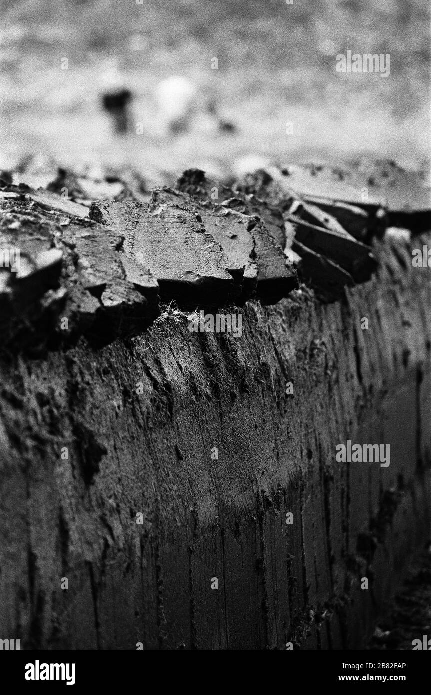 Freshly cut peat bogs on a stretch of land on the island of Lewis in ...