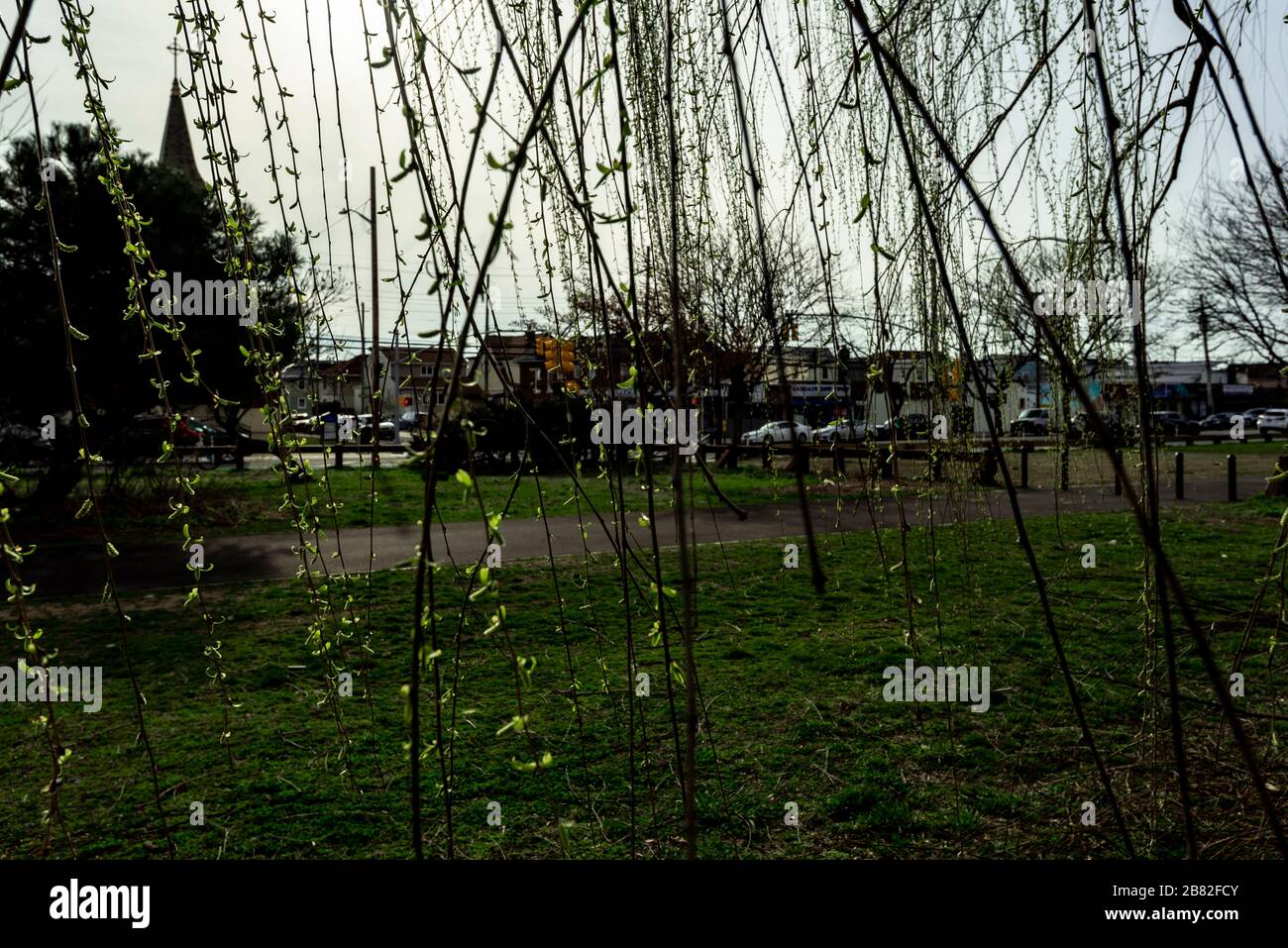 Early signs of spring in New York City Stock Photo - Alamy