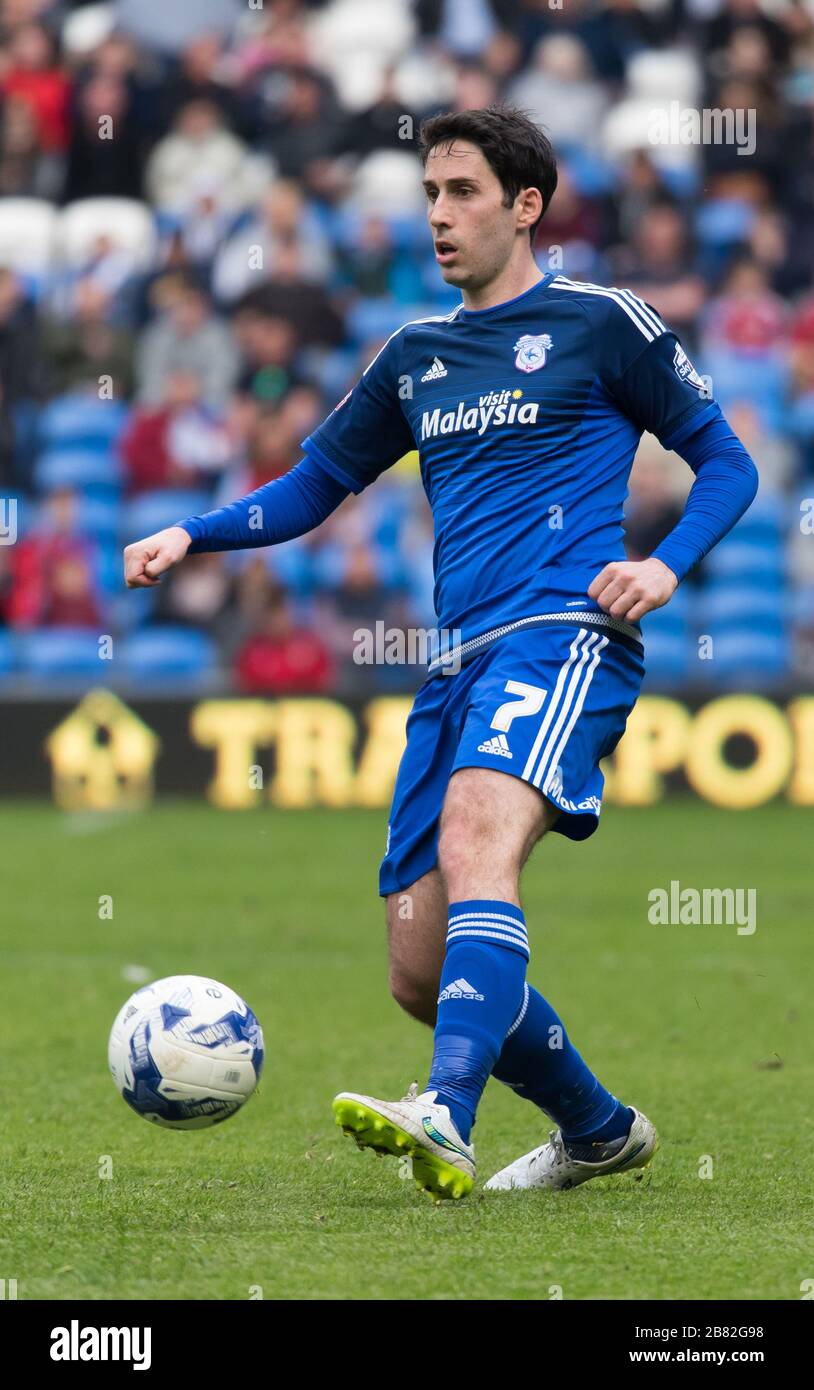 Cardiff City player Peter Whittingham Stock Photo - Alamy