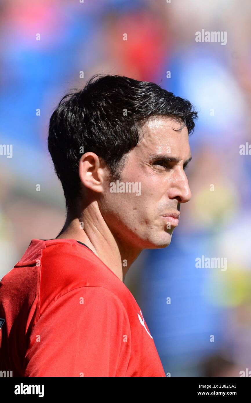 Cardiff City player Peter Whittingham Stock Photo - Alamy