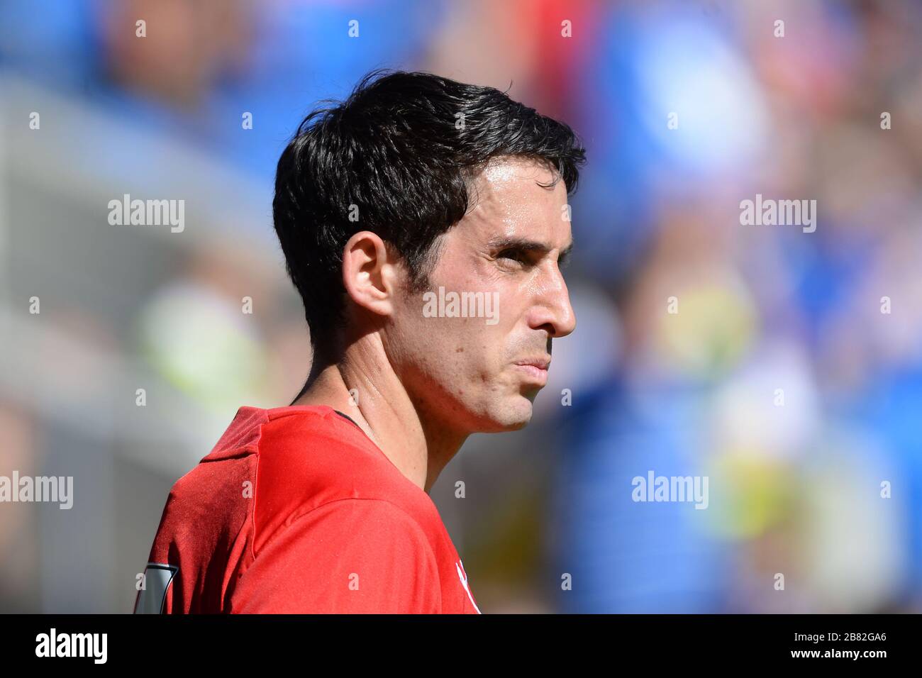 Cardiff City player Peter Whittingham Stock Photo - Alamy