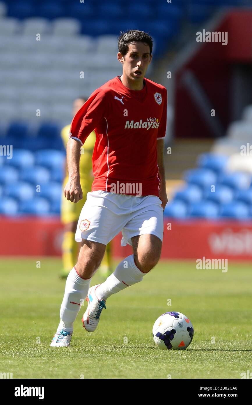 Cardiff City player Peter Whittingham Stock Photo - Alamy
