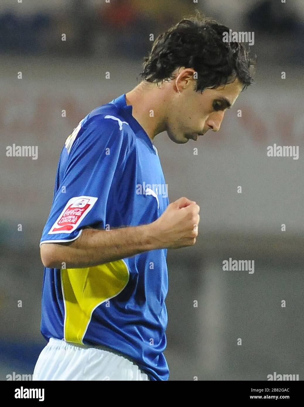 Cardiff City player Peter Whittingham Stock Photo - Alamy
