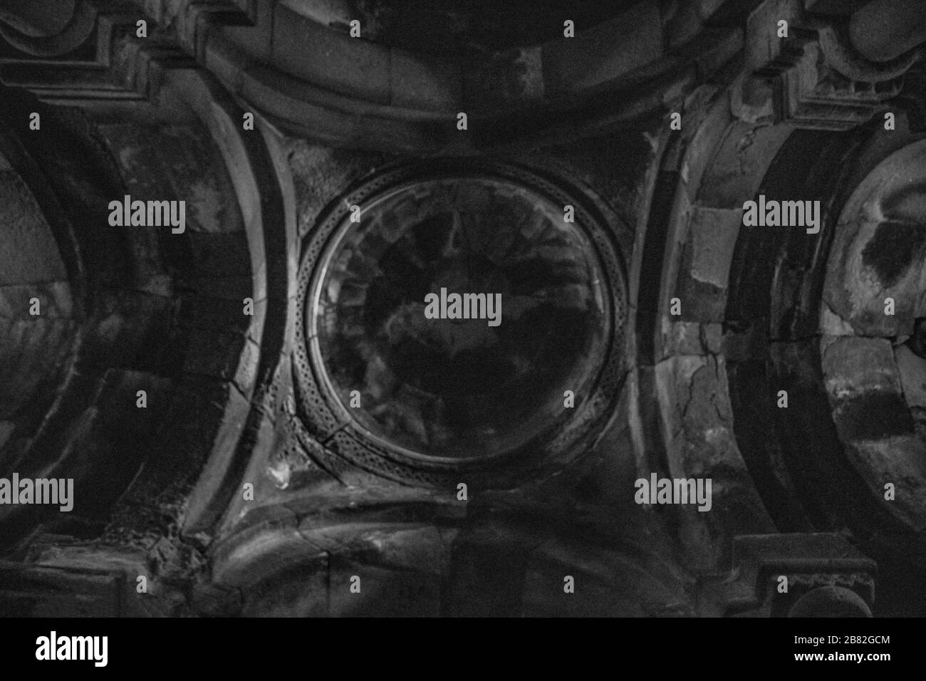 Long life plants Black and White Stock Photos & Images - Alamy