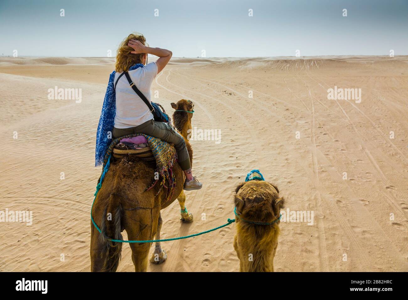 Woman in a dromedary ride in the desert Stock Photo - Alamy