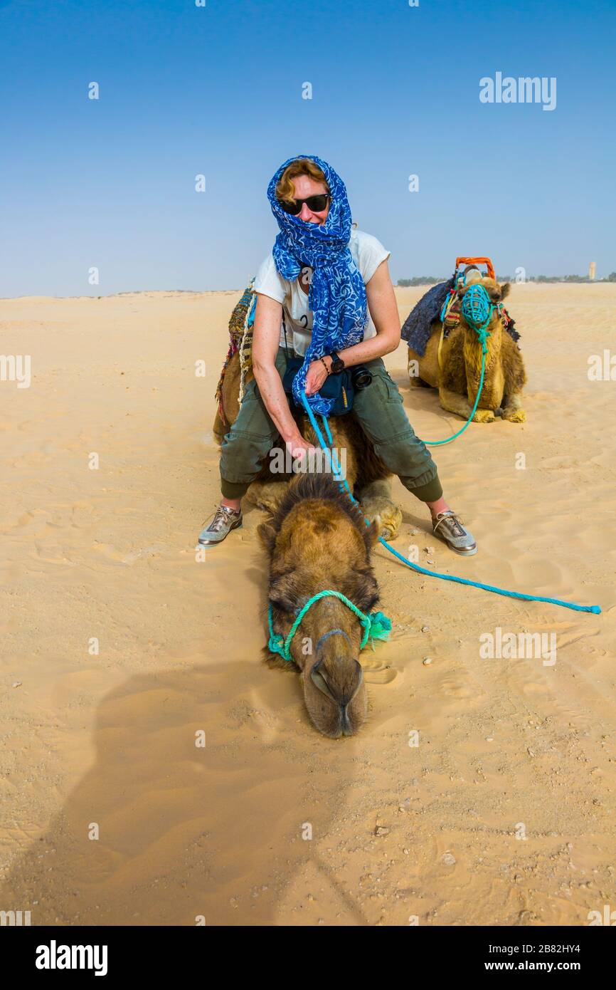Woman in a dromedary ride in the desert Stock Photo - Alamy