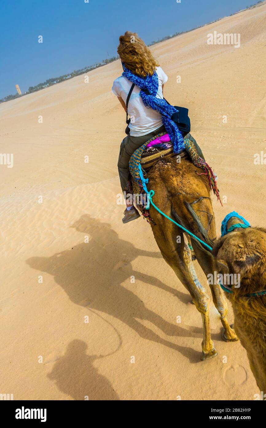 Woman in a dromedary ride in the desert Stock Photo - Alamy