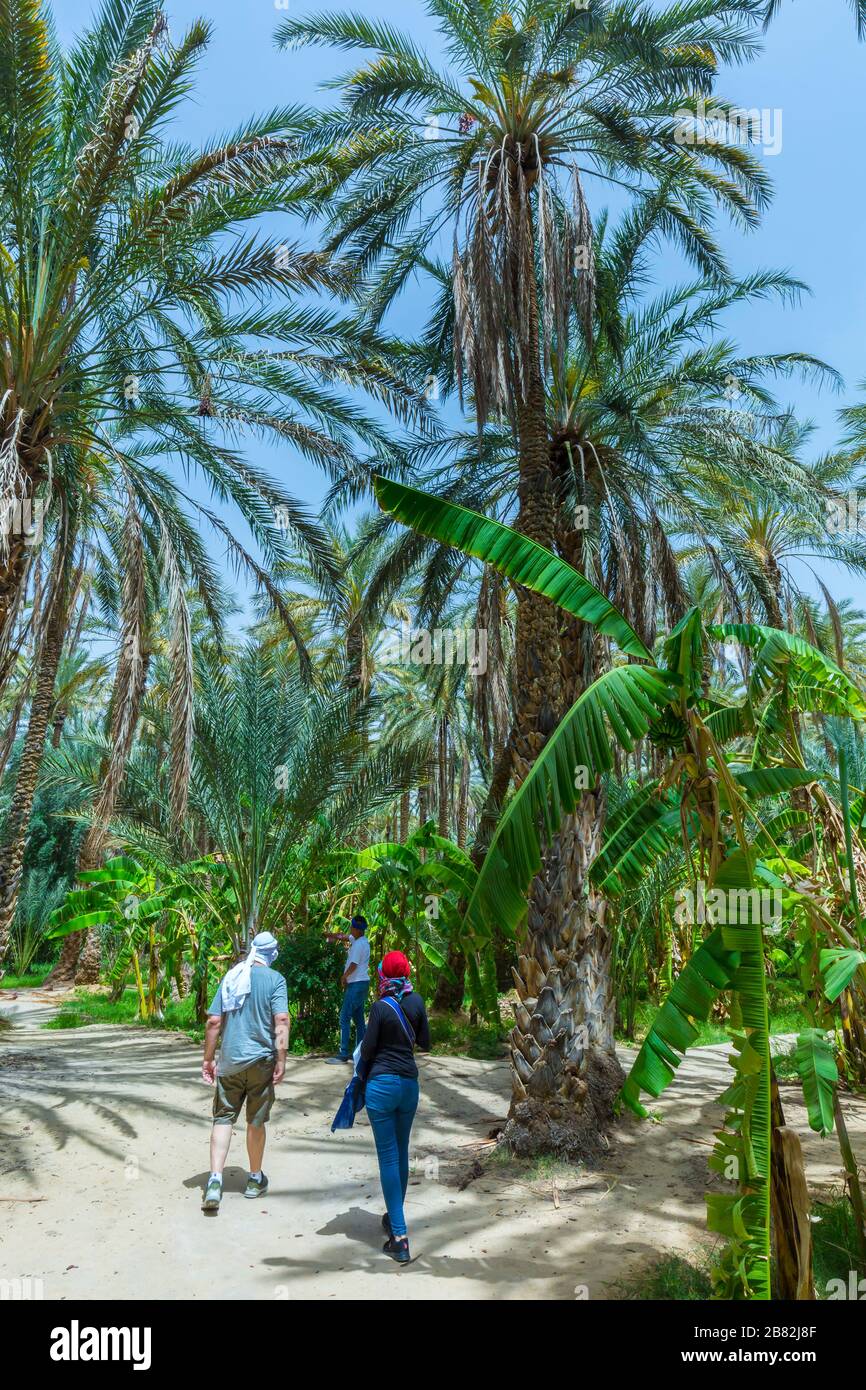 People in a palm grove Stock Photo - Alamy