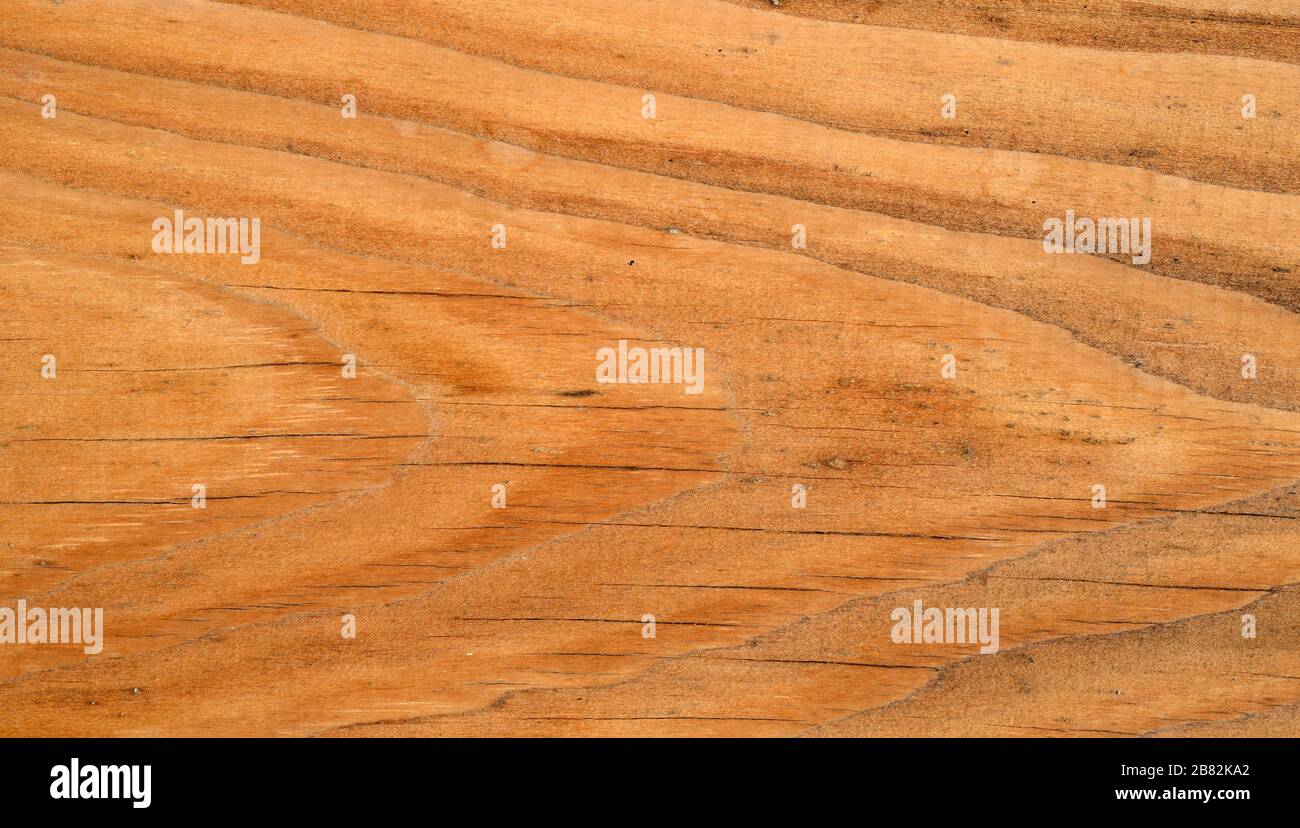 close up texture of a wooden plank Stock Photo - Alamy