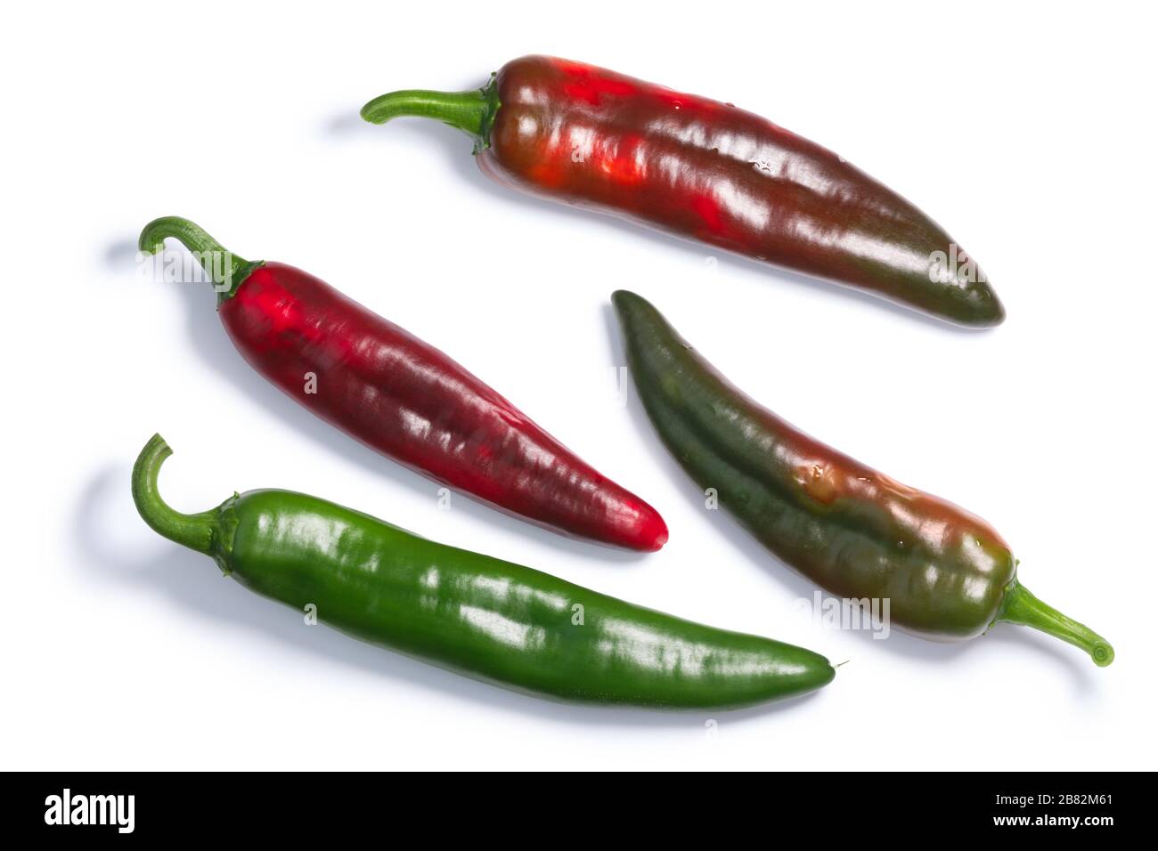 Hatch chile peppers, green and partially ripe, isolated, top view Stock ...