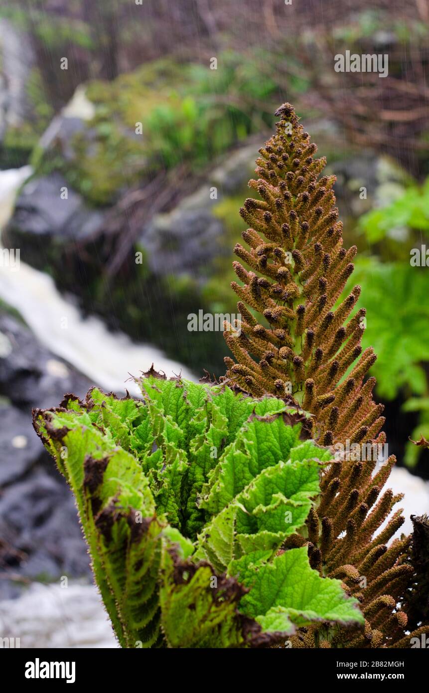 Two fingers in front hi-res stock photography and images - Alamy