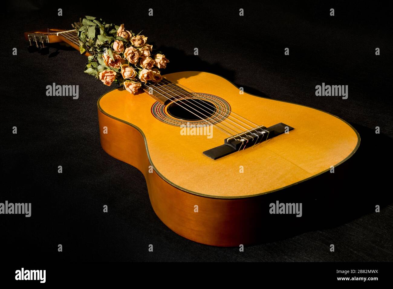 Acoustic guitar and dried roses on black background Acoustic guitar and ...