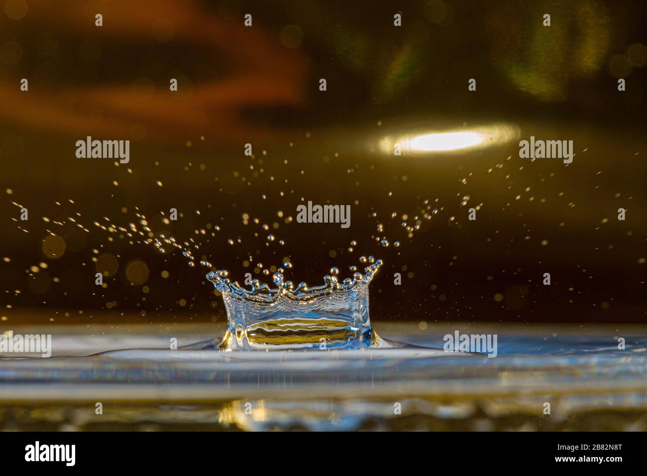 Drop Still life Stock Photo - Alamy