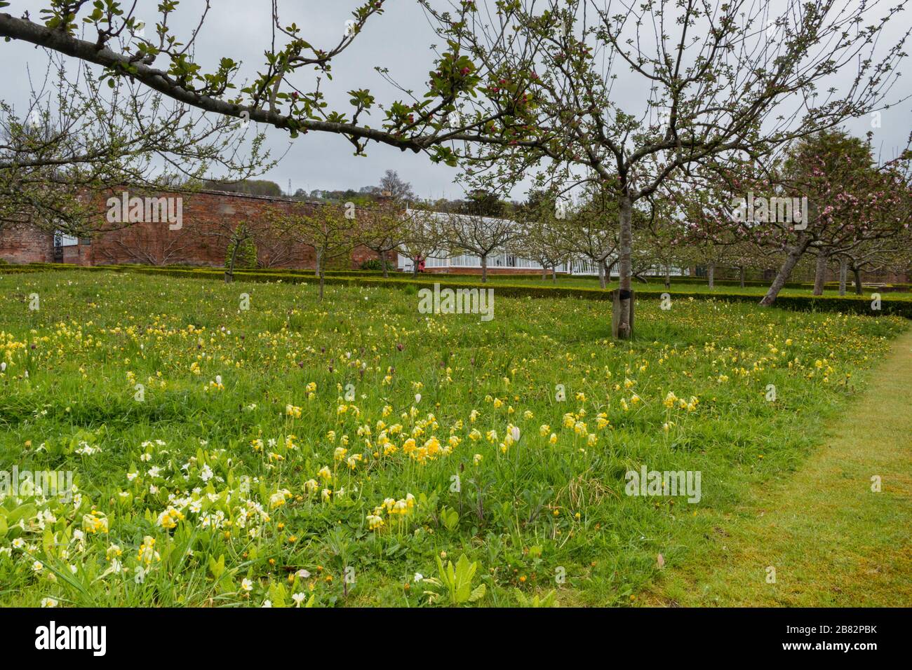 Flowers from west dean gardens and the national trust sissinghurst ...