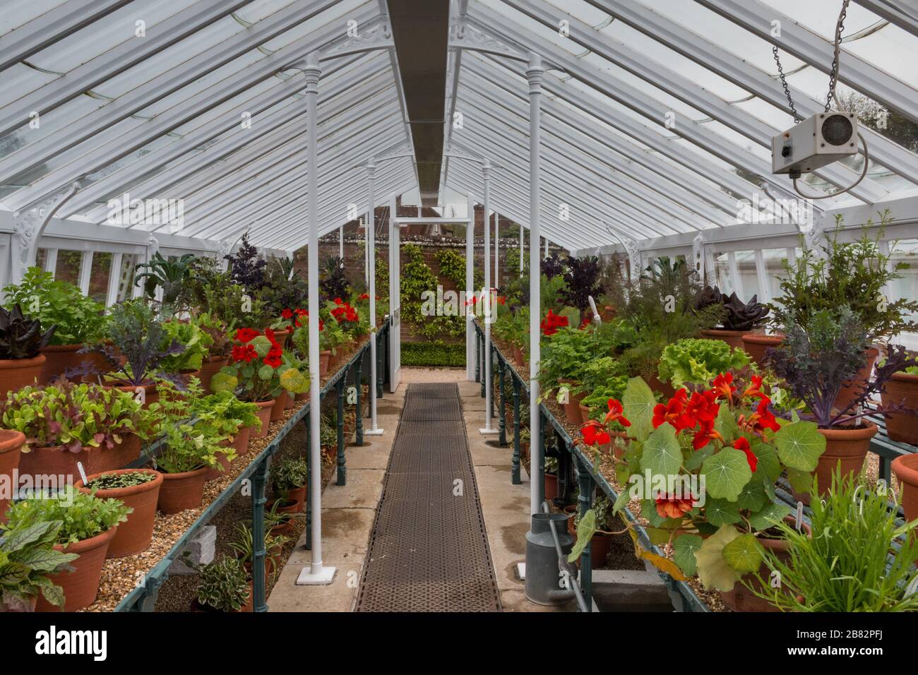 Flowers from west dean gardens and the national trust sissinghurst ...