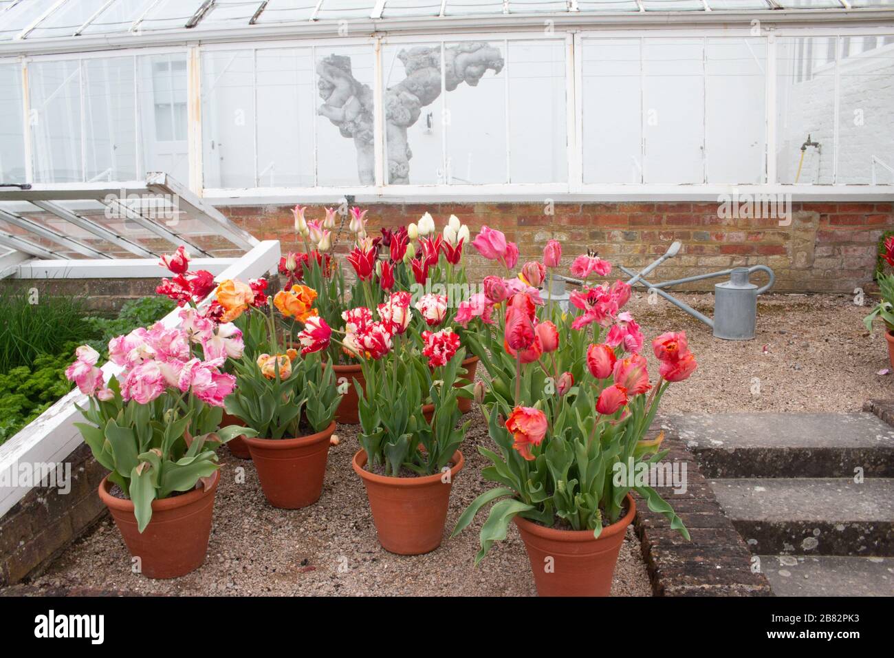 Flowers from west dean gardens and the national trust sissinghurst ...