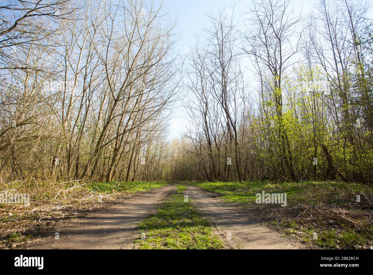 Beautiful Day in Forest with many colours Stock Photo - Alamy