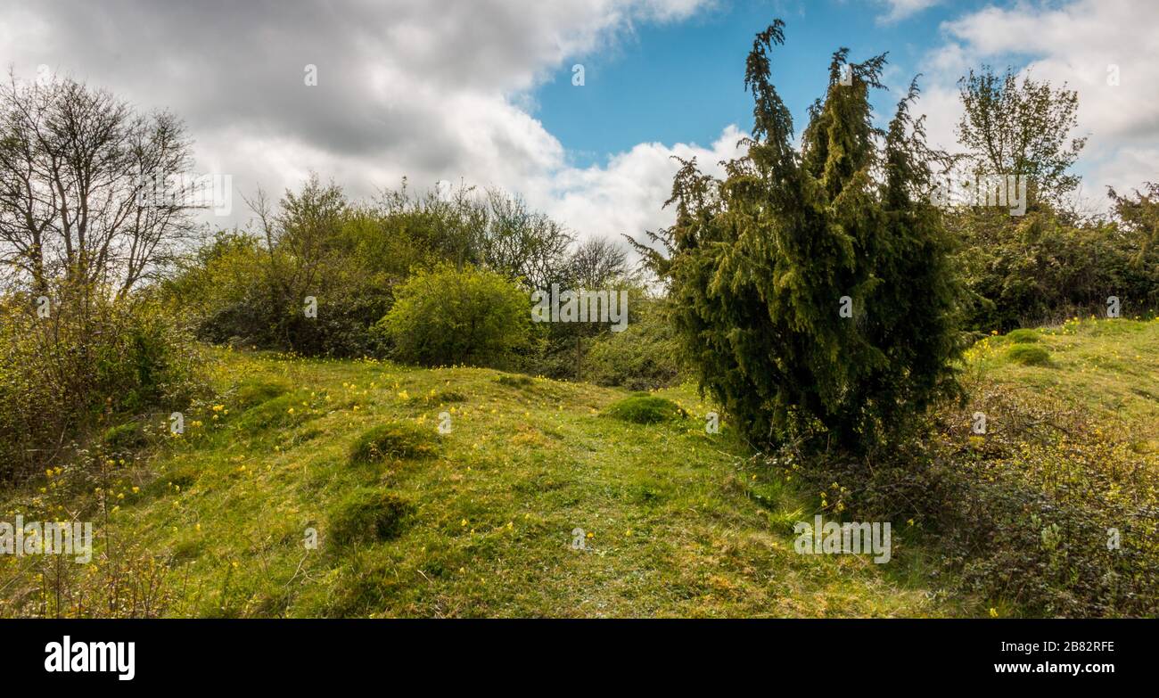 Noar hill hi-res stock photography and images - Alamy