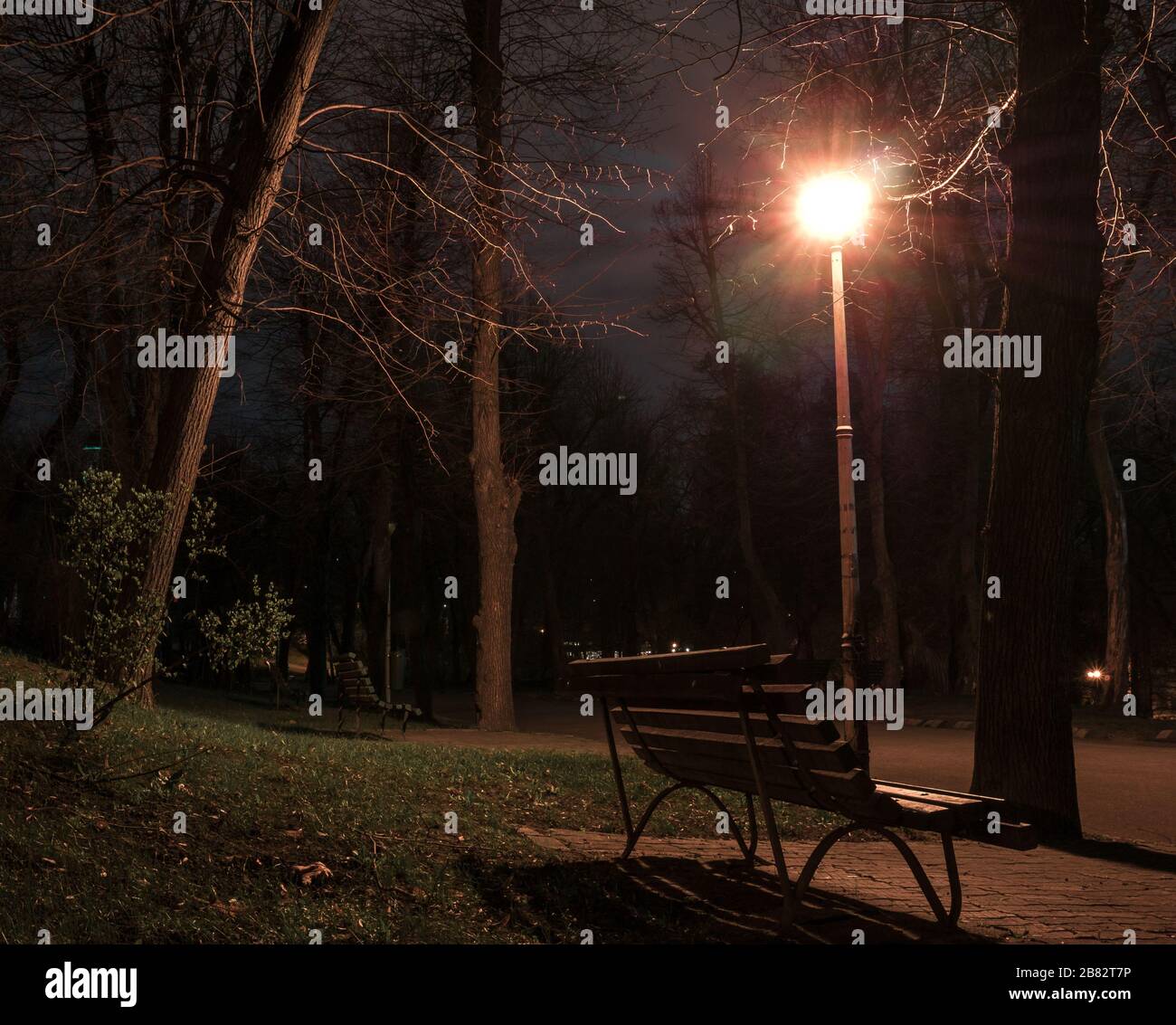 Footpath at night in the park. Alley in the park with light poles and ...