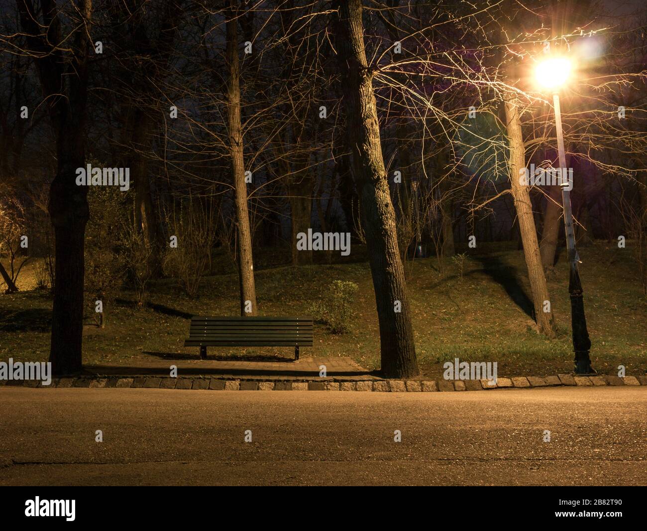 Footpath at night in the park. Alley in the park with light poles and ...