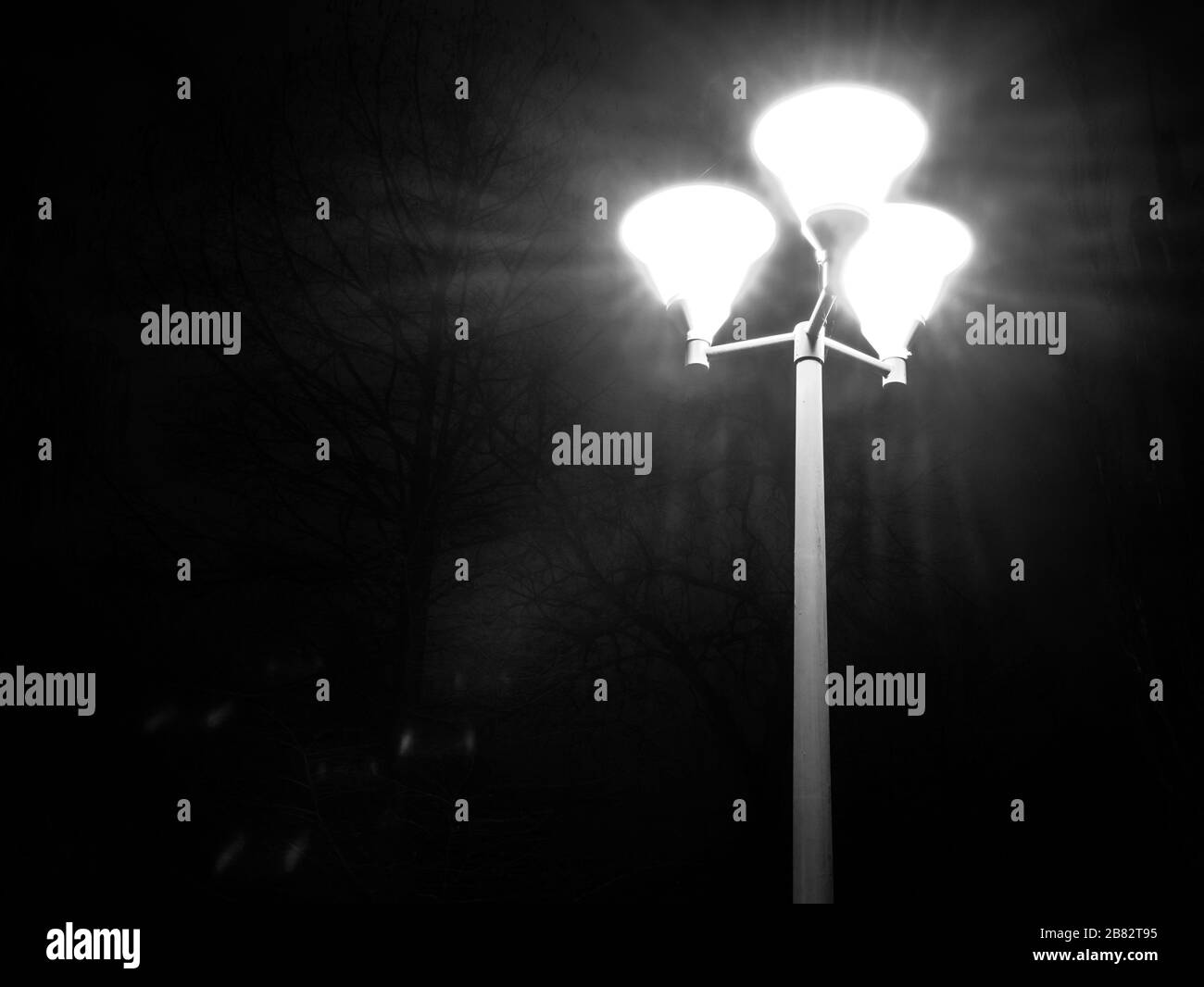 Street lamp at night. Rays of light from a light pole with 3 lamps ...