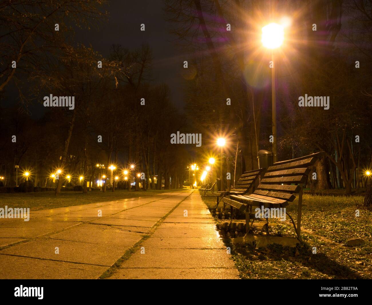 Footpath at night in the park. Alley in the park with light poles and ...
