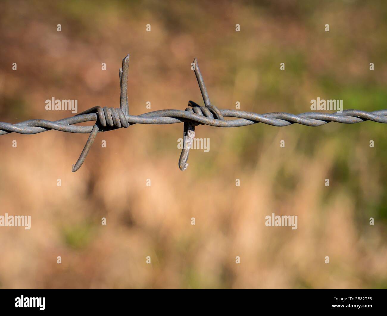 Barbed wire army fence hi-res stock photography and images - Alamy