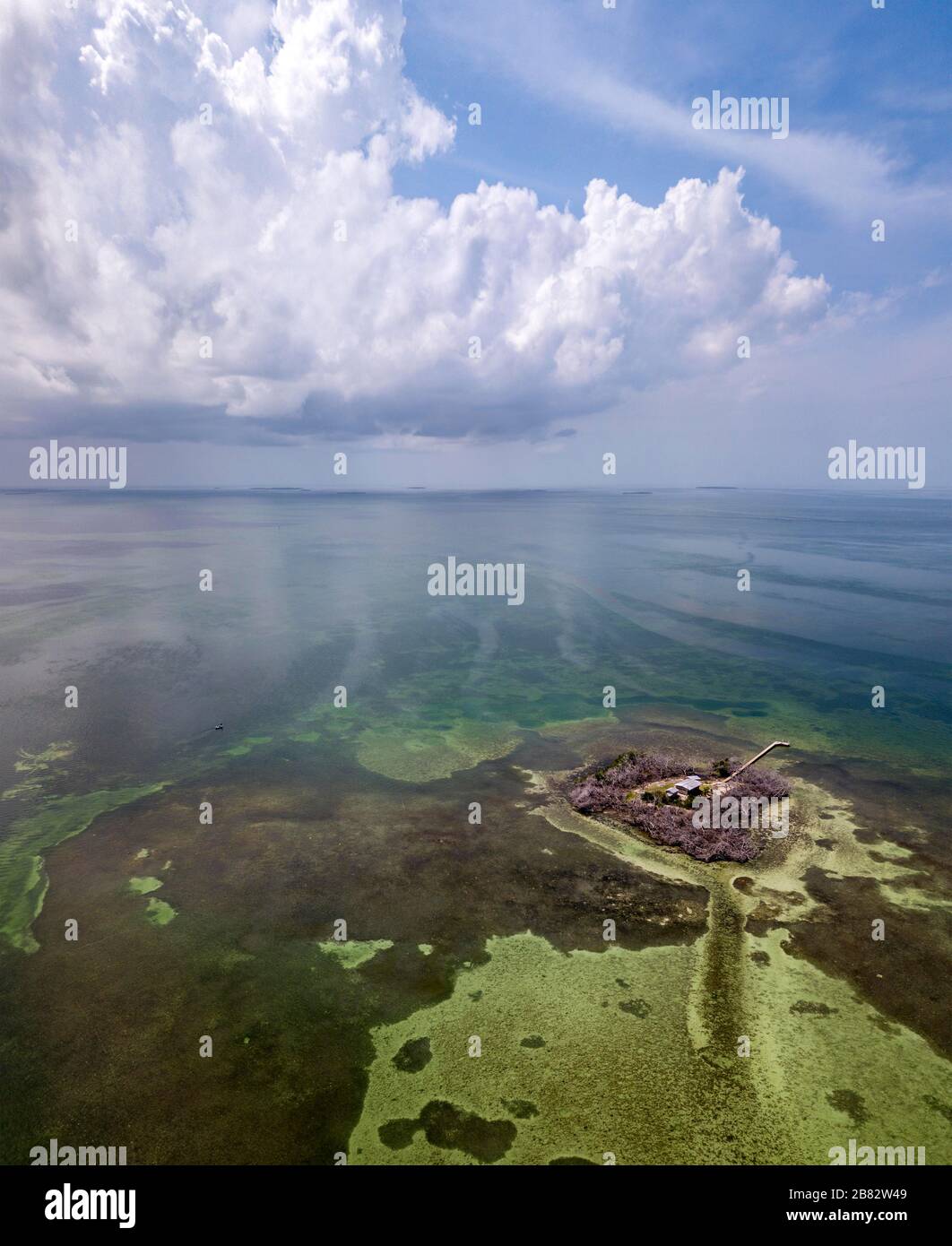 Money little hi-res stock photography and images - Alamy